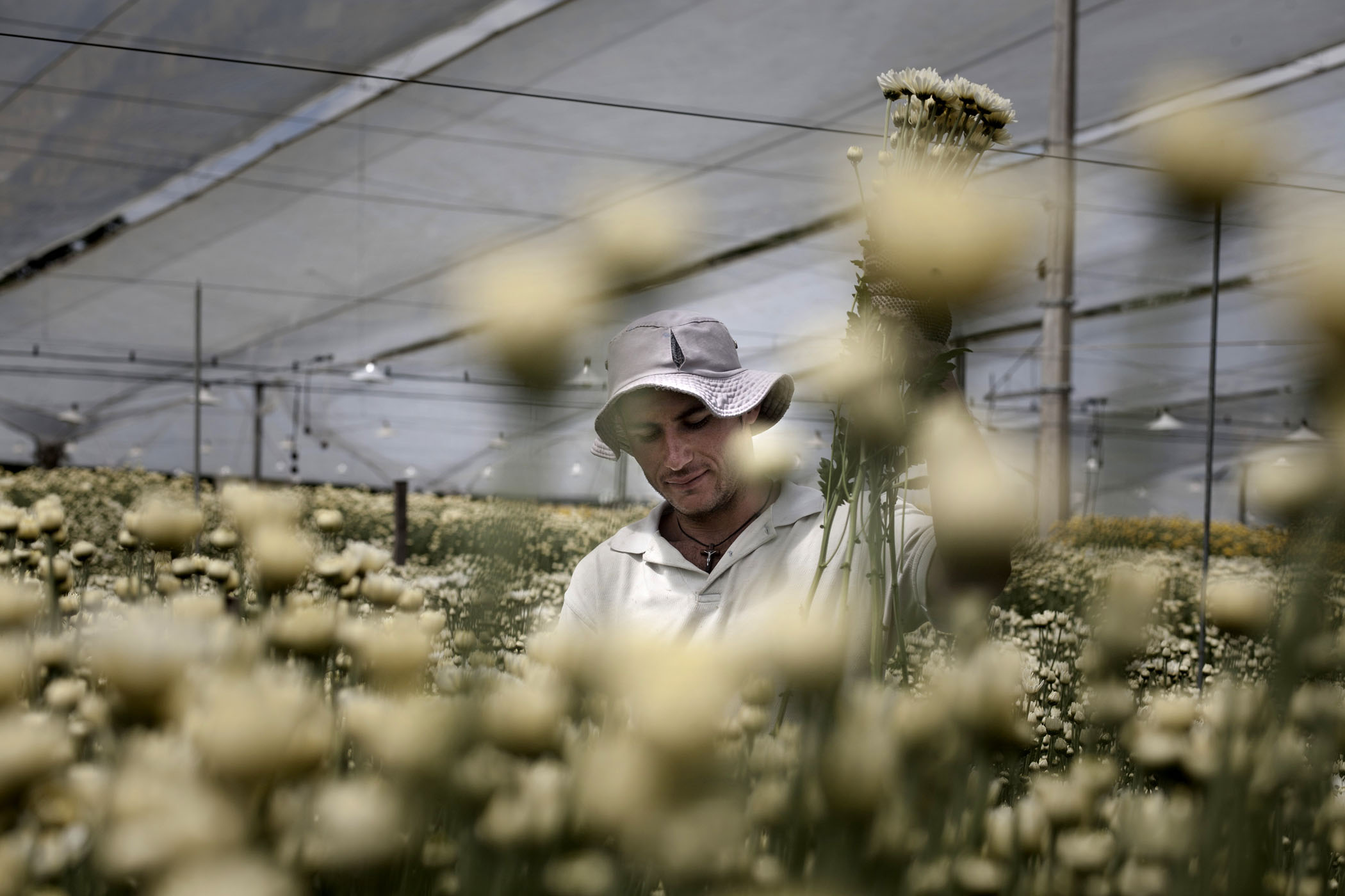 Paul Smith — Panos Pictures